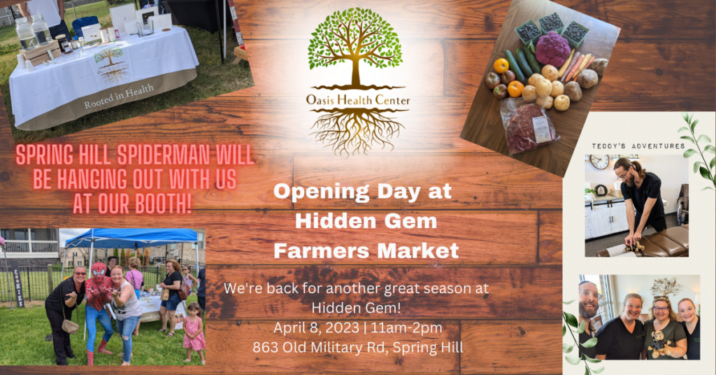 Our Churches | Spring Hill Fresh | Keeping You In The Local Know